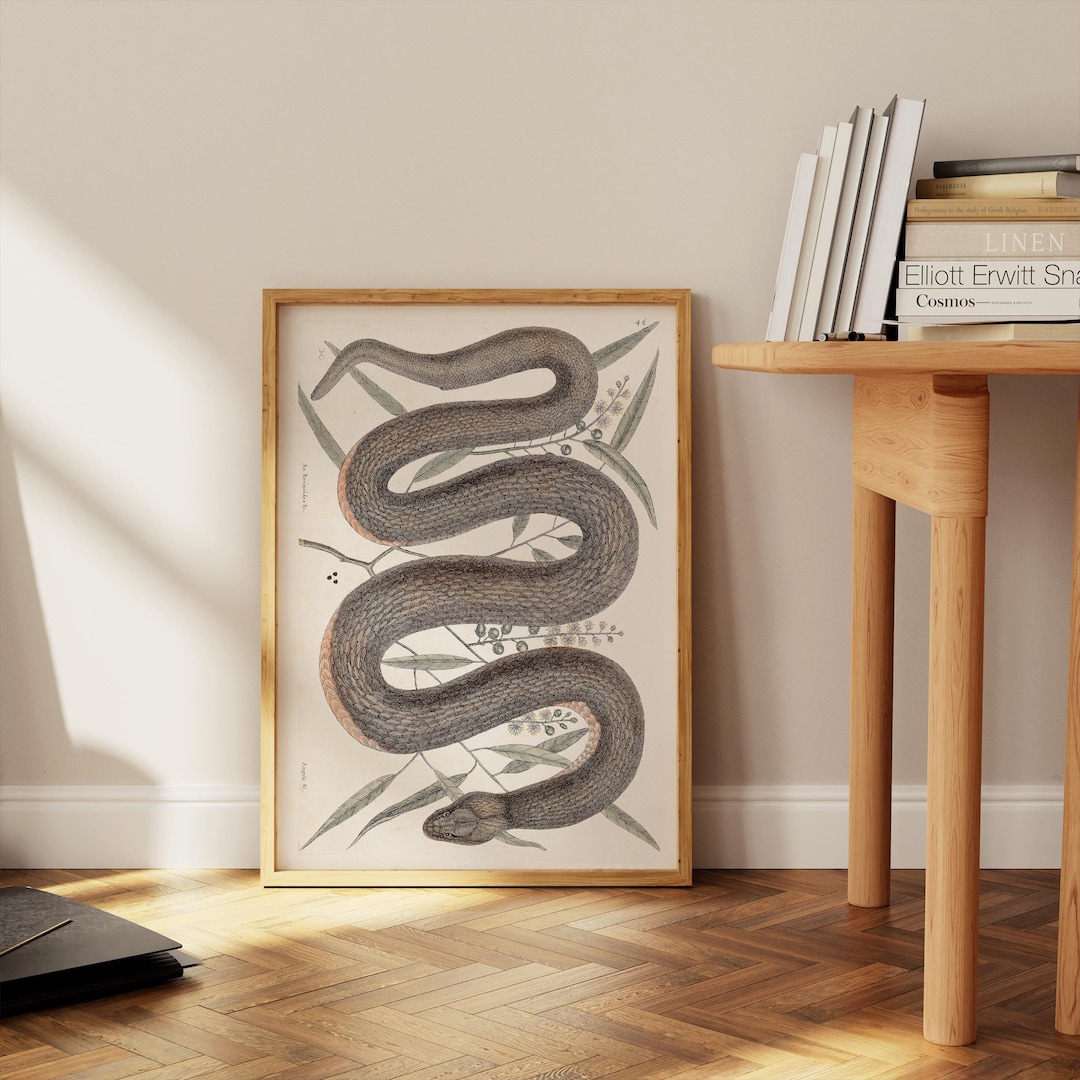 SLITHERIN' Reptile Art, Animal Poster, Animal Art, Reptile Print ...