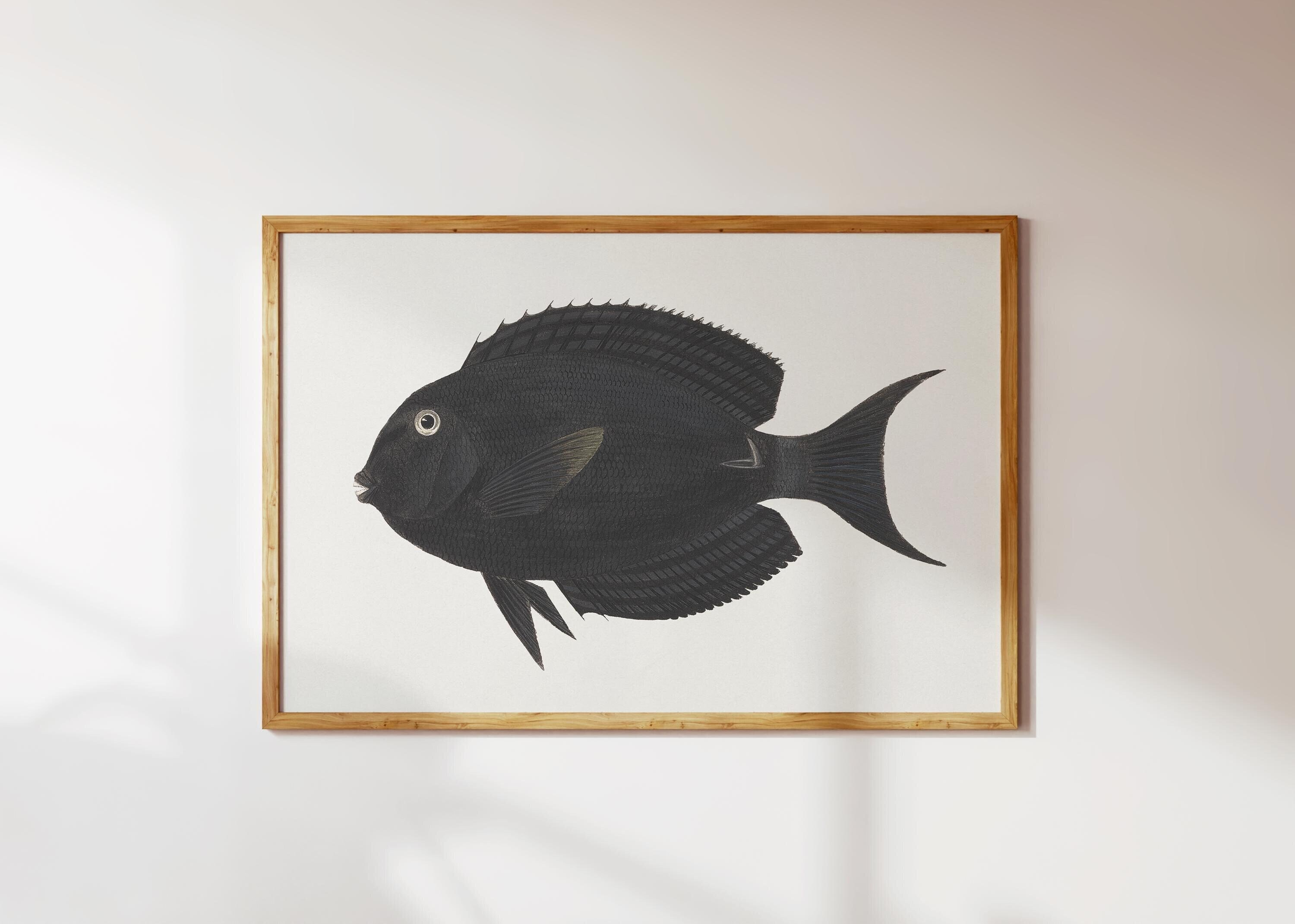 BIG PAPA Fish Art, Fish Painting, Fish Print, Fish Poster, Aquatic Art ...