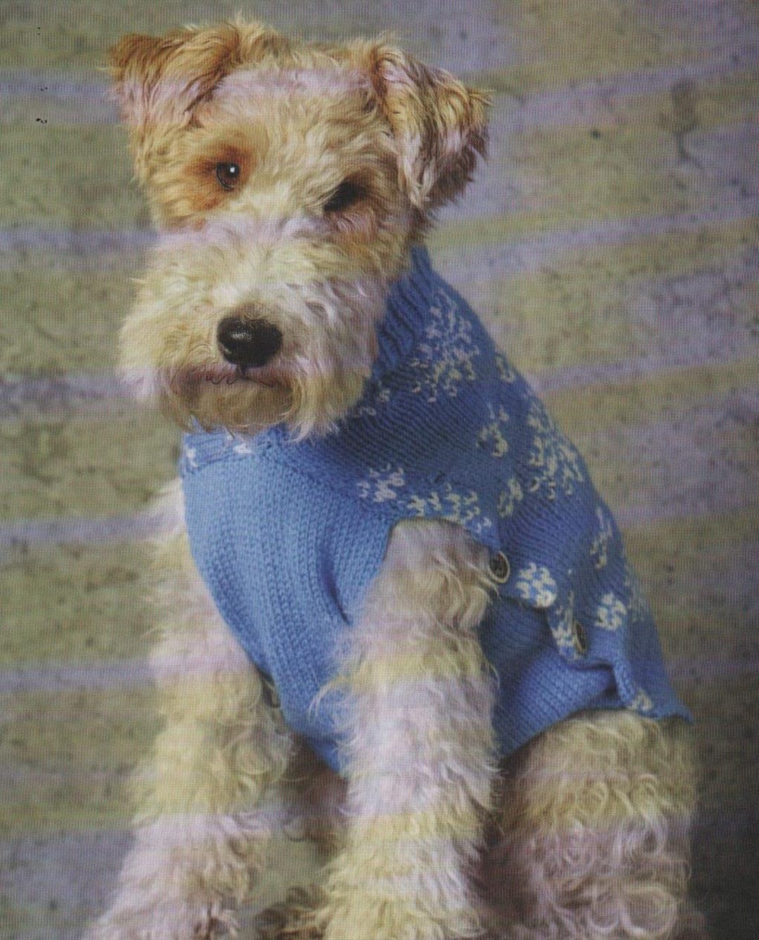 PDF Knitting Pattern to Knit a Dogs Snowflake Jacket Fits S, M, L, XL ...