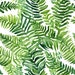 Ferns Digital Pattern Digital Paper Printable Pattern - Etsy