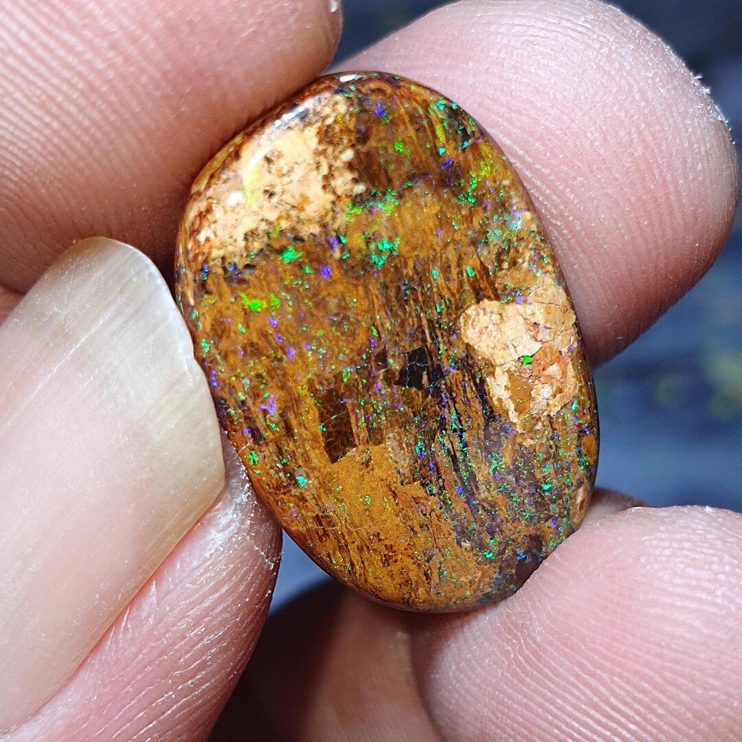 Vibrant Australian Petrified Wood Opal - BOS-0071 Exquisite Natural ...