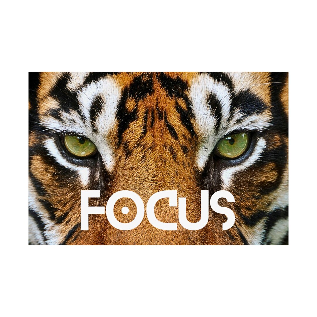 Focus Inspirational Wall Art Décor on Vertical Satin Poster 12x8, 18x12 ...