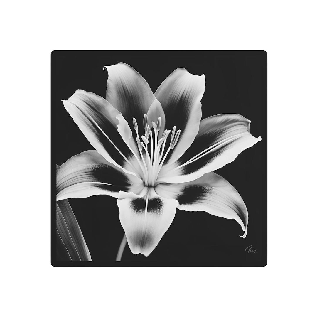 Lily X-ray Image Inspired Metal Art Wall Decor 11x11, 12x12, 16x16 ...
