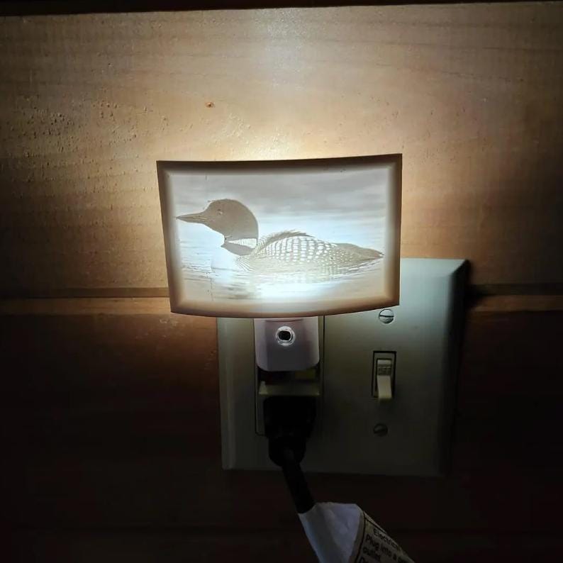 Loon Lithophane Nightlight | 3D Printed Maine Wildlife Decor | Lake ...
