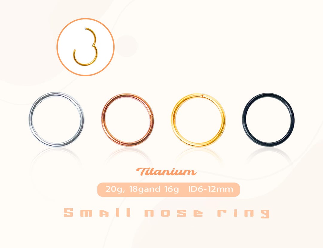 20G/18G/16G Titanium Hinged Segment Nose Ring, Lip Ring, Hoop Earring ...