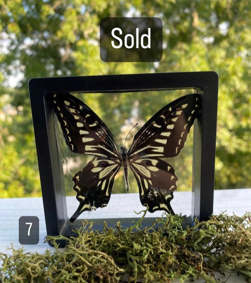 Square Floating Frames - Etsy