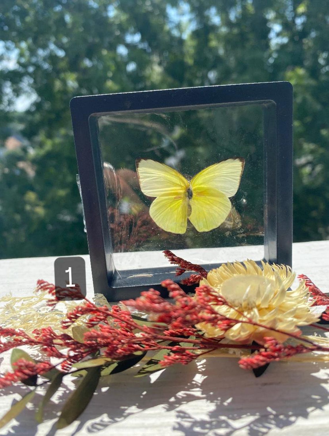 Square Floating Frames - Etsy