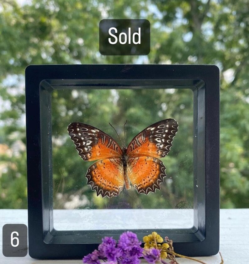 Square Floating Frames - Etsy