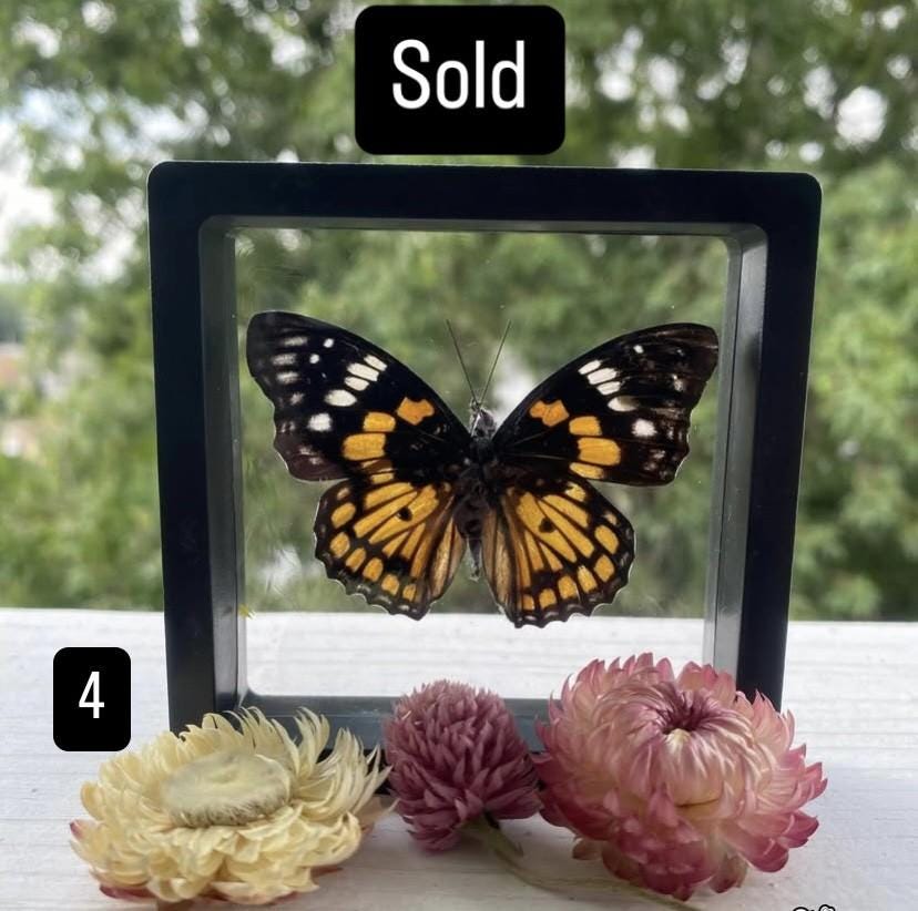 Square Floating Frames - Etsy
