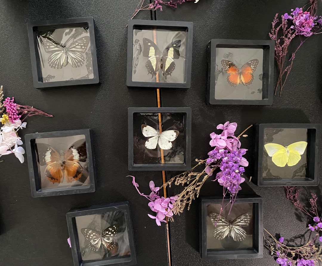 Square Floating Frames - Etsy