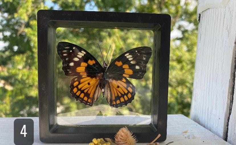 Square Floating Frames - Etsy