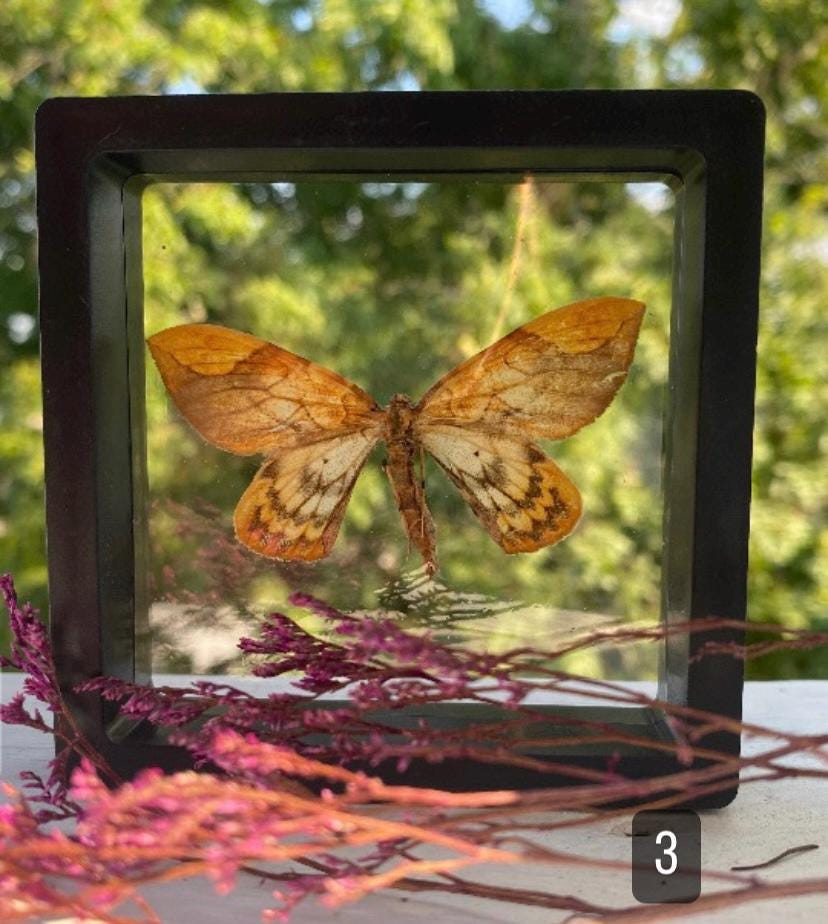 Square Floating Frames - Etsy