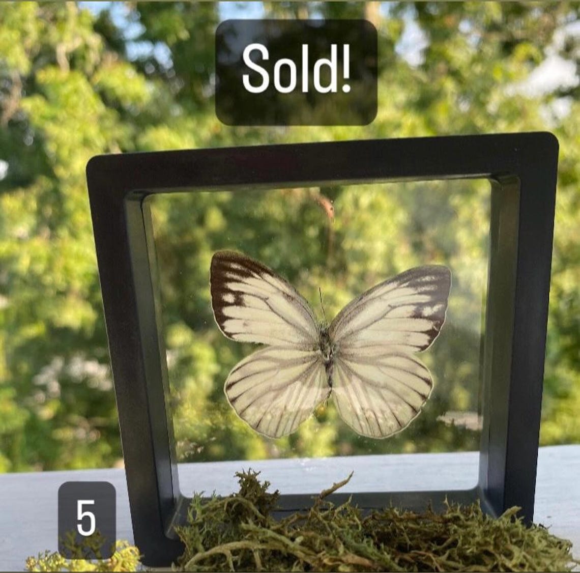 Square Floating Frames - Etsy