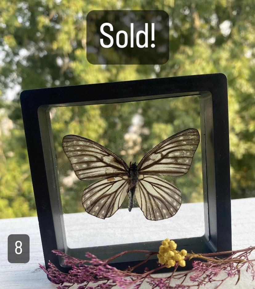 Square Floating Frames - Etsy