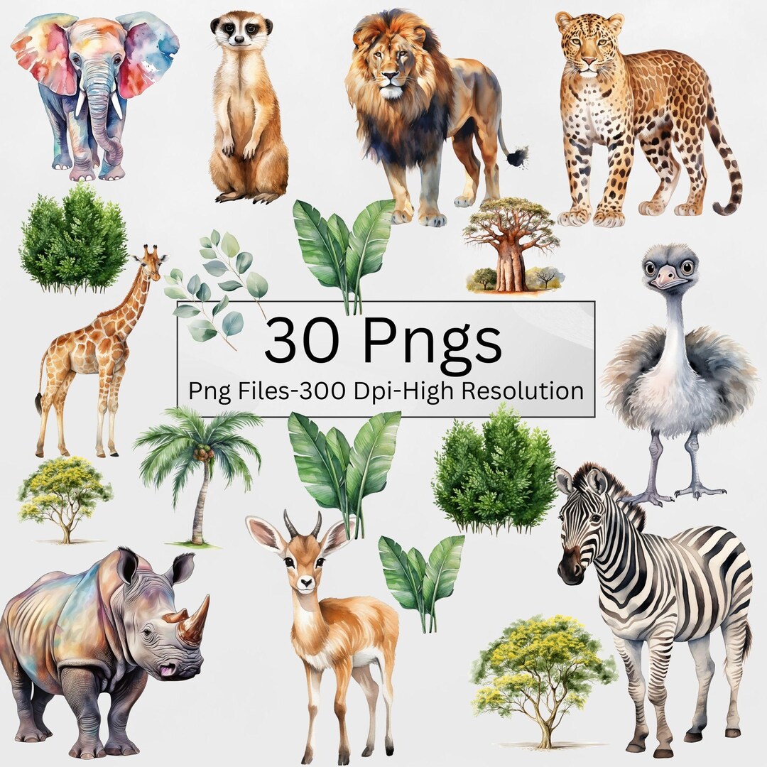 Safari Animals Watercolor Clipart Bundle, Safari Clipart Animals Png ...