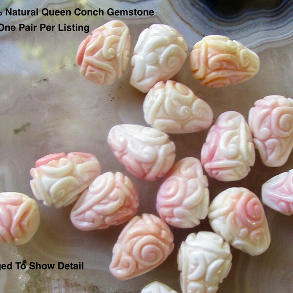 Conch Shell Beads - Etsy