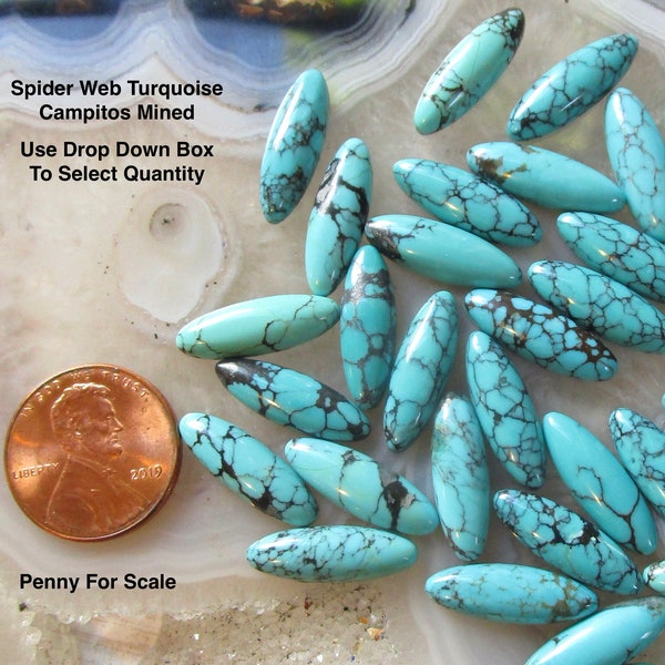 Spider Web Turquoise - Etsy