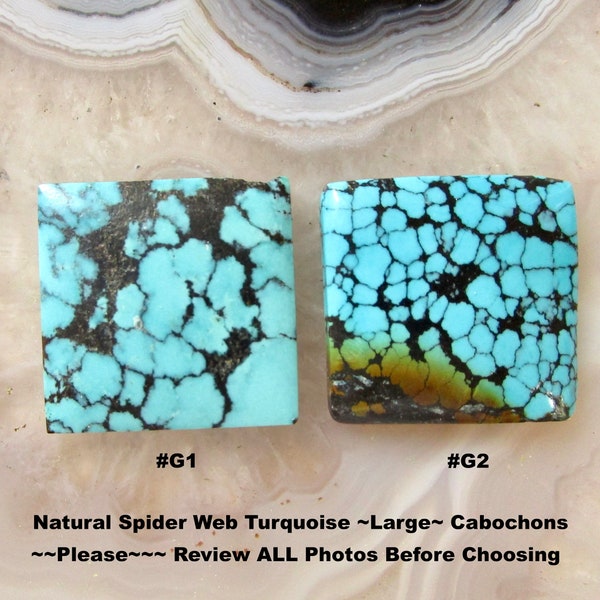 Spider Web Turquoise - Etsy