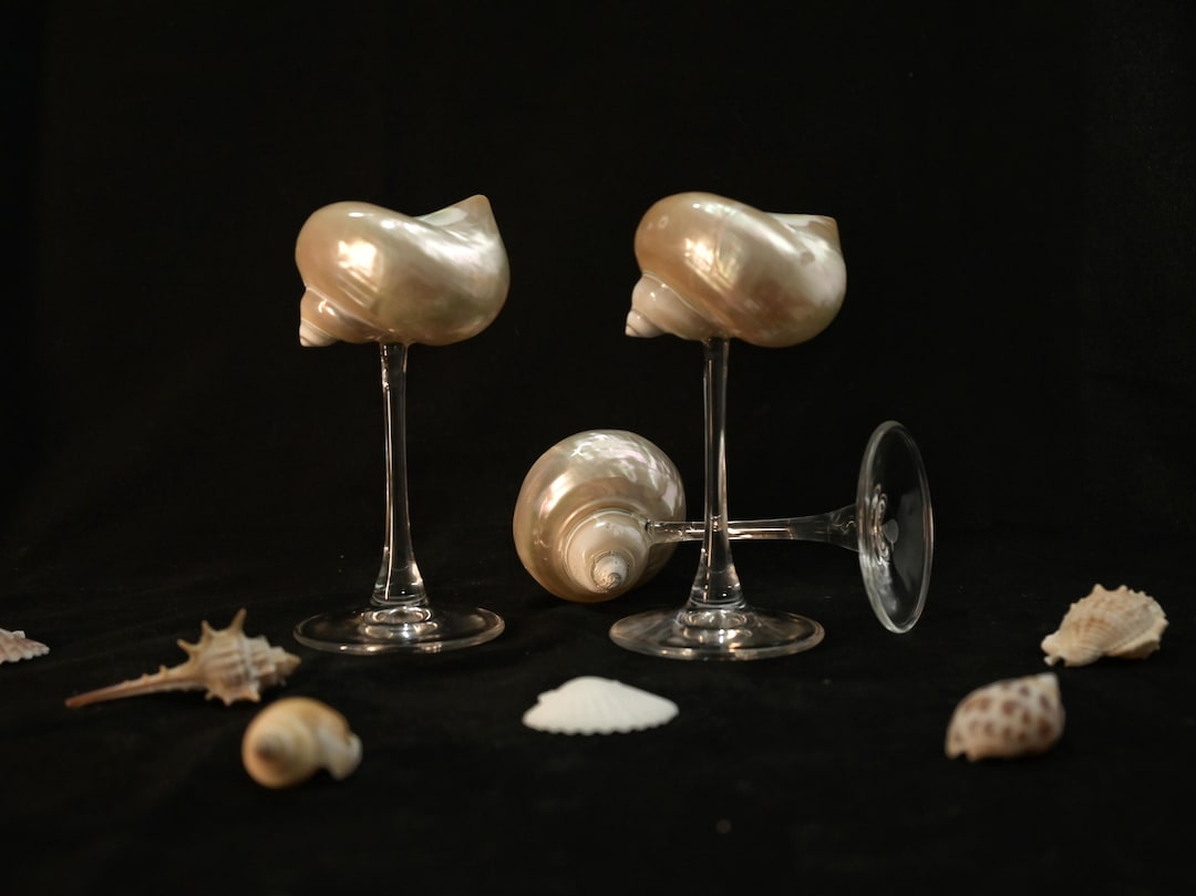 Customized Seashell Martini Glasses, Handmade Conch Cup Shell Cup ...