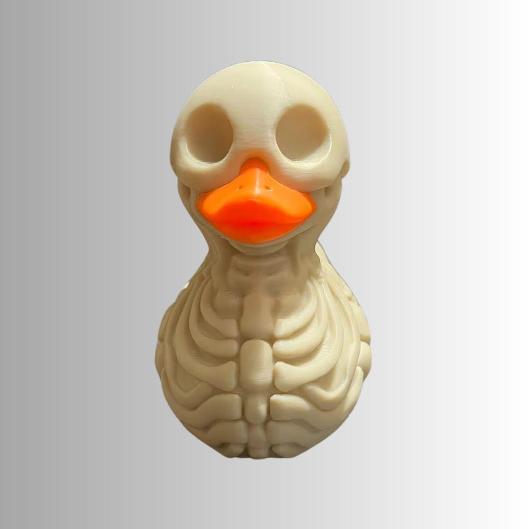 Realistic Collectible Skeleton Duck – Unique Decor - Etsy