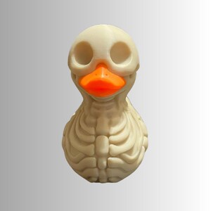 Realistic Collectible Skeleton Duck – Unique Decor - Etsy