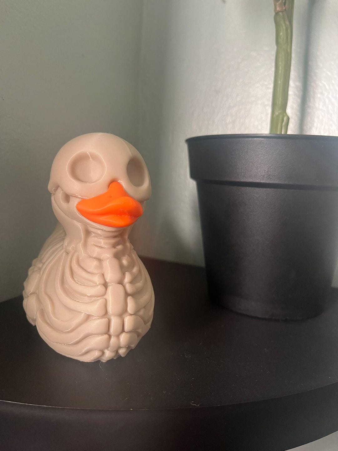 Realistic Collectible Skeleton Duck Unique Decor - Etsy