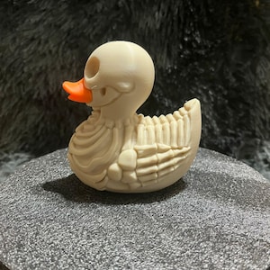 Realistic Collectible Skeleton Duck – Unique Decor - Etsy