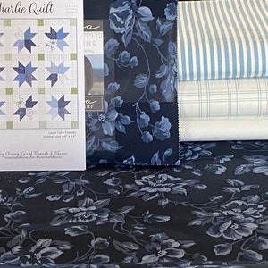 Charlie Quilt Kit Featuring Shoreline by Camille Roskelly - Etsy