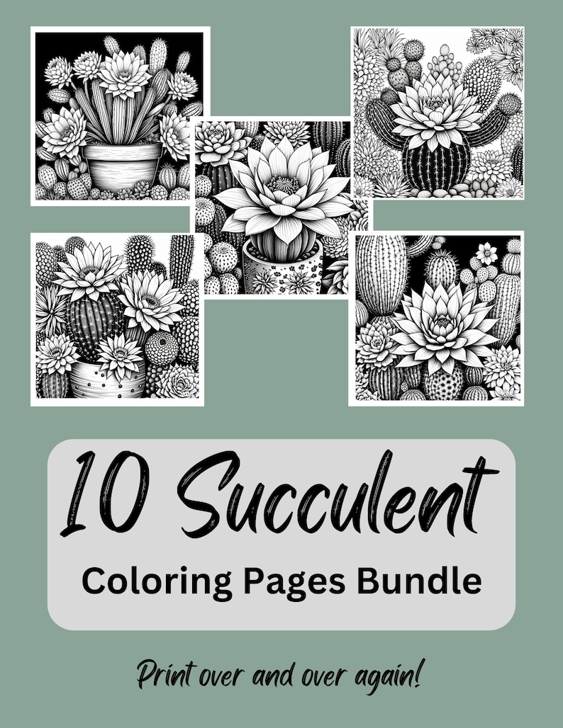 Relaxing Succulent Coloring Pages for Adults Cactus Coloring Sheets ...