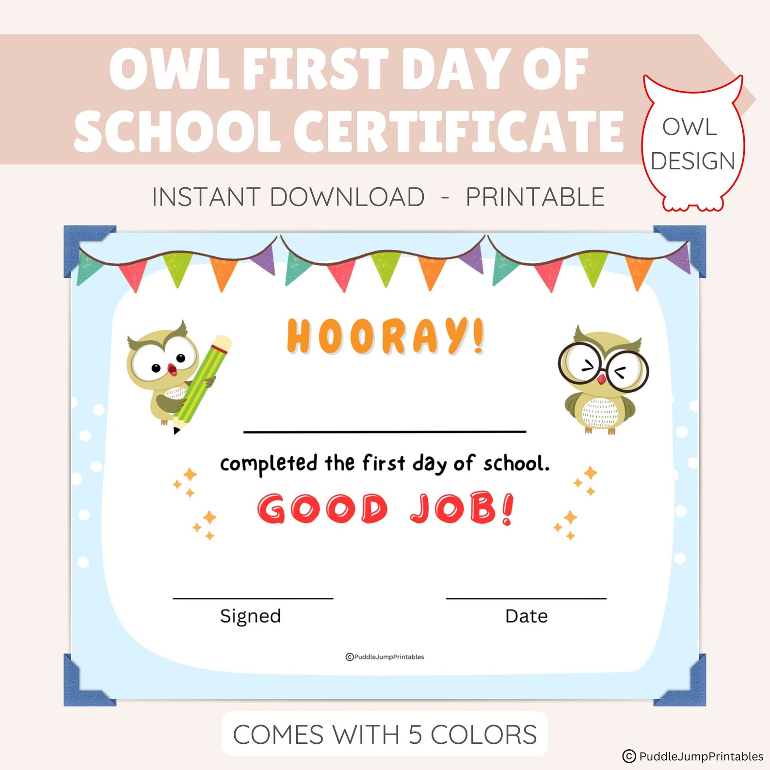 Printable First Day of School Certificate, Owl Design, Back to School ...