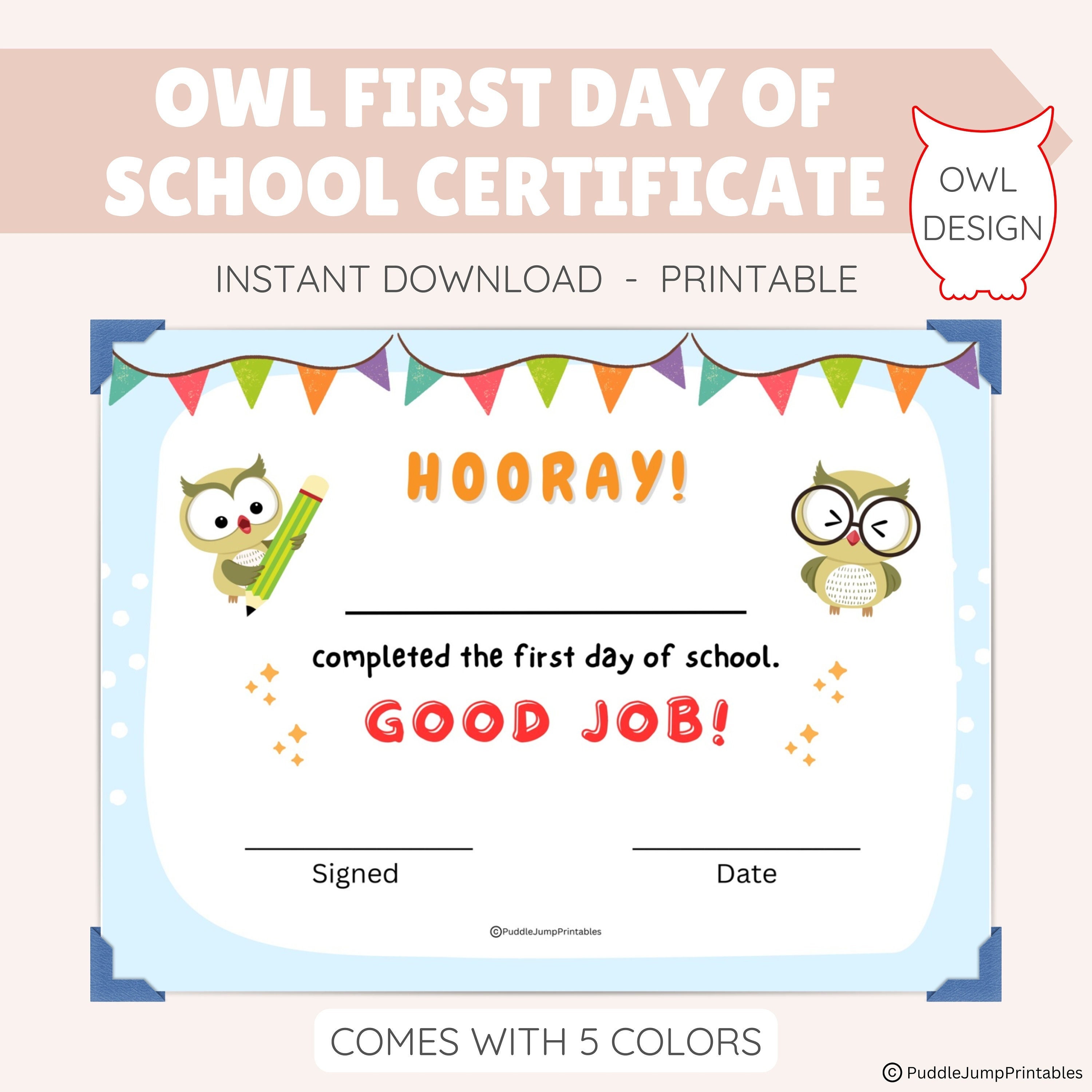 Printable First Day of School Certificate, Owl Design, Back to School ...
