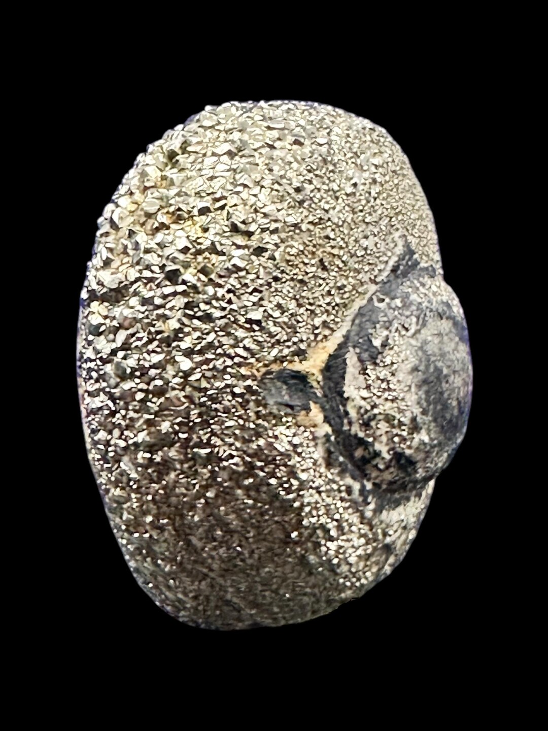 Gold Pyrite Fossil With Natural Crystal, Druzy Snail Fossil From ...