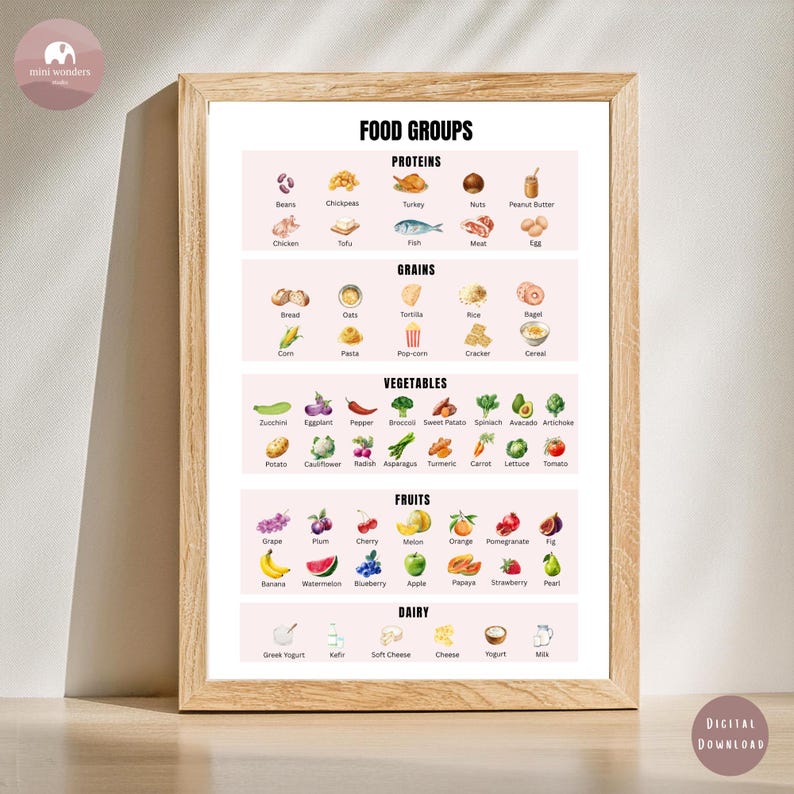 Food Groups Educational Poster for Kids | Proteins Grains Fruits ...
