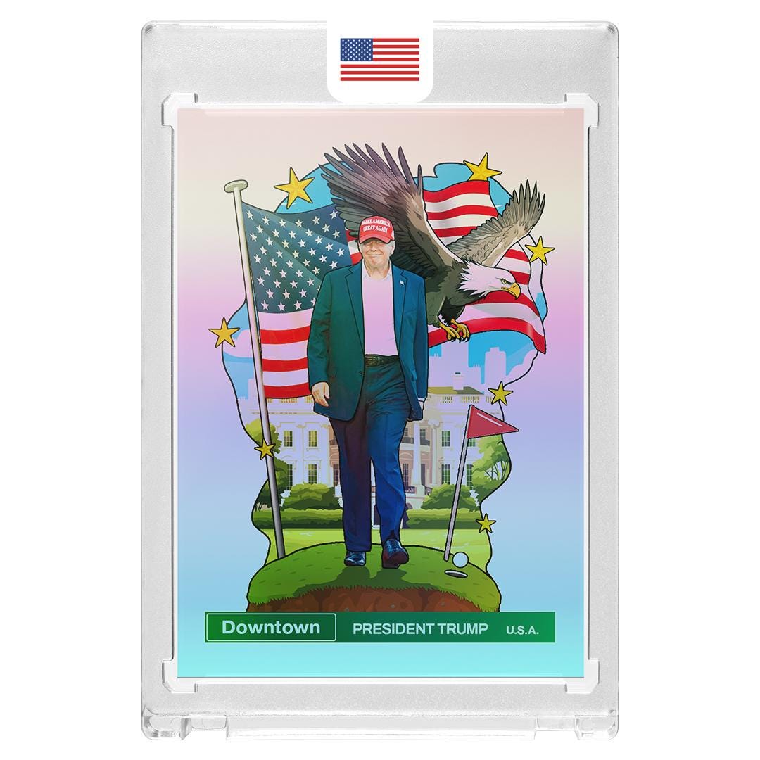 CUSTOM Donald Trump MAGA Novelty Holographic Downtown USA Trading Card ...