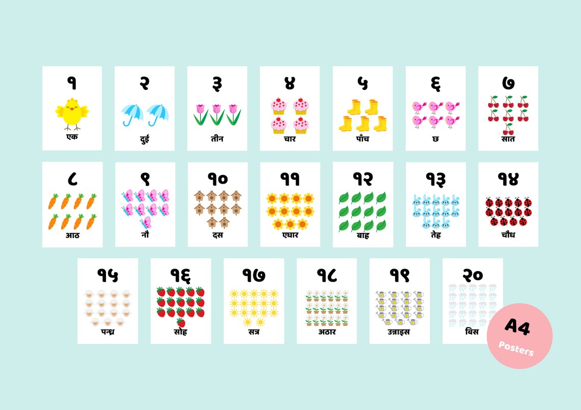 Nepali Number Flashcards and Posters 1 to 20 - Etsy