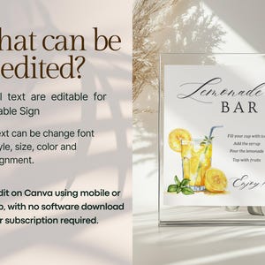 Lemonade Bar Sign Template Lemonade Bar Mocktail Print Signature Drink ...