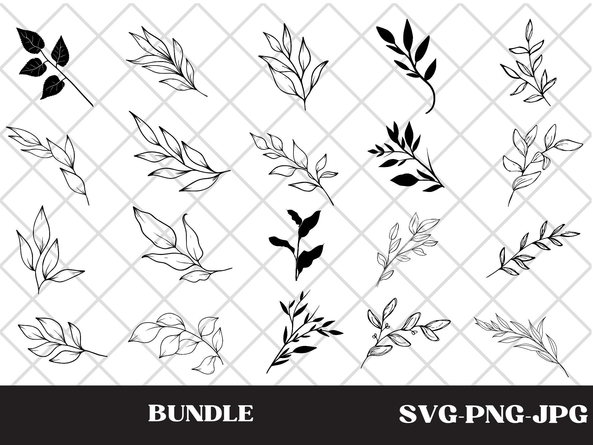 Botanical Leaves and Twigs SVG Bundle, Hand Drawn Vector Greenery ...