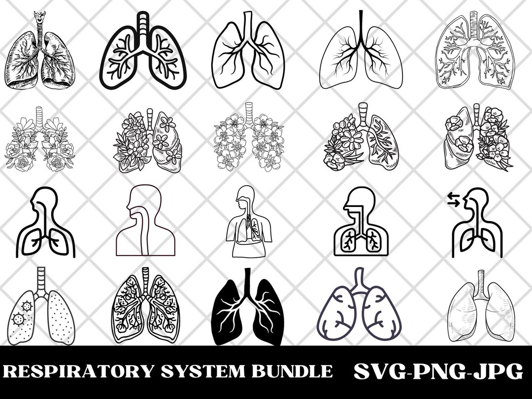 Respiratory Therapist Svg Bundle, Floral Lungs Svg, Human Lung Svg ...