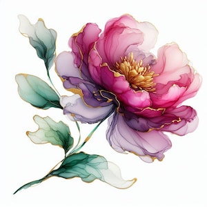Elegant Peony Clipart 12 High Res Watercolor Jpgs for Junk Journals ...