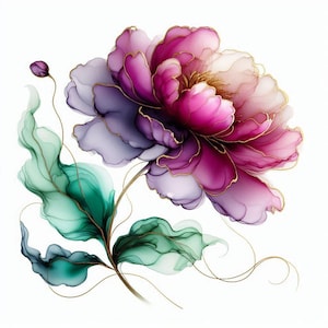 Elegant Peony Clipart 12 High Res Watercolor Jpgs for Junk Journals ...