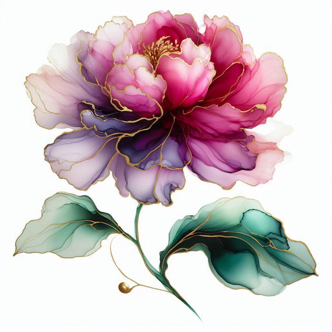 Elegant Peony Clipart 12 High Res Watercolor Jpgs for Junk Journals ...