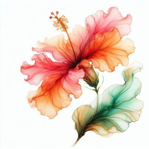 Elegant Hibiscus Clipart 12 High Res Watercolor Jpgs for Junk Journals ...