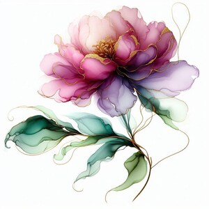 Elegant Peony Clipart 12 High Res Watercolor Jpgs for Junk Journals ...