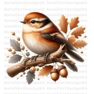 Bird Clipart Autumn Bird on Branch Png Fall Bird Illustration Woodland ...