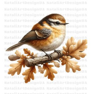 Bird Clipart Autumn Bird on Branch Png Fall Bird Illustration Woodland ...