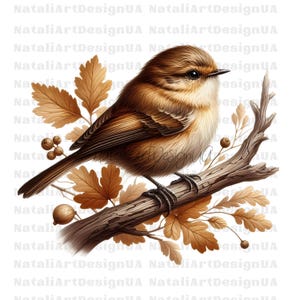 Bird Clipart Autumn Bird on Branch Png Fall Bird Illustration Woodland ...