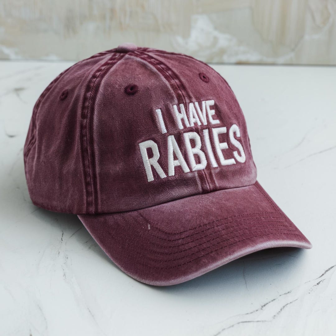 I Have Rabies Embroidered Hat, Funny Humor Washed Hat, Sarcasm Hat ...