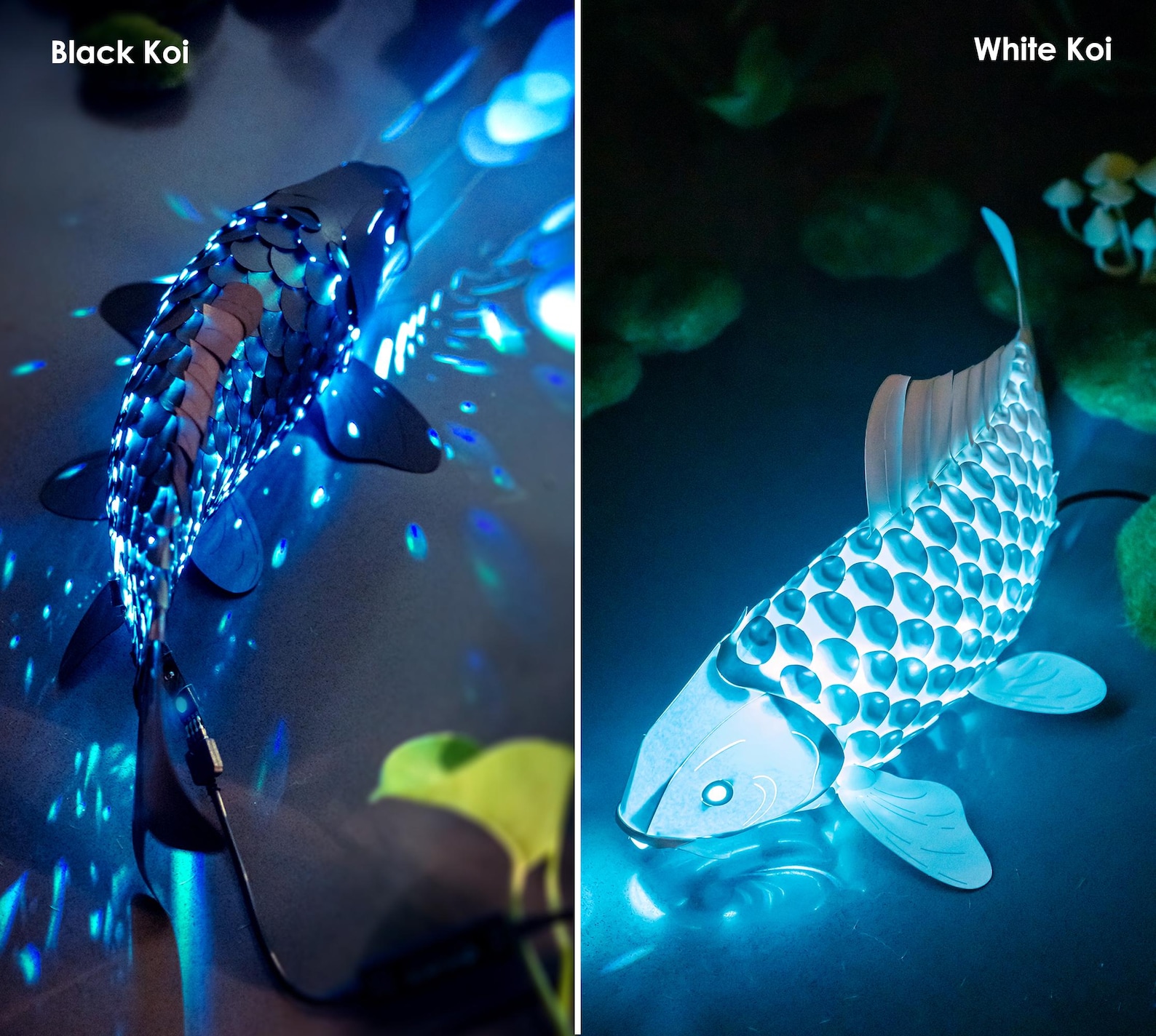 Paper Koi Lantern: DIY Fish Lamp Kit (15-pack) - Etsy