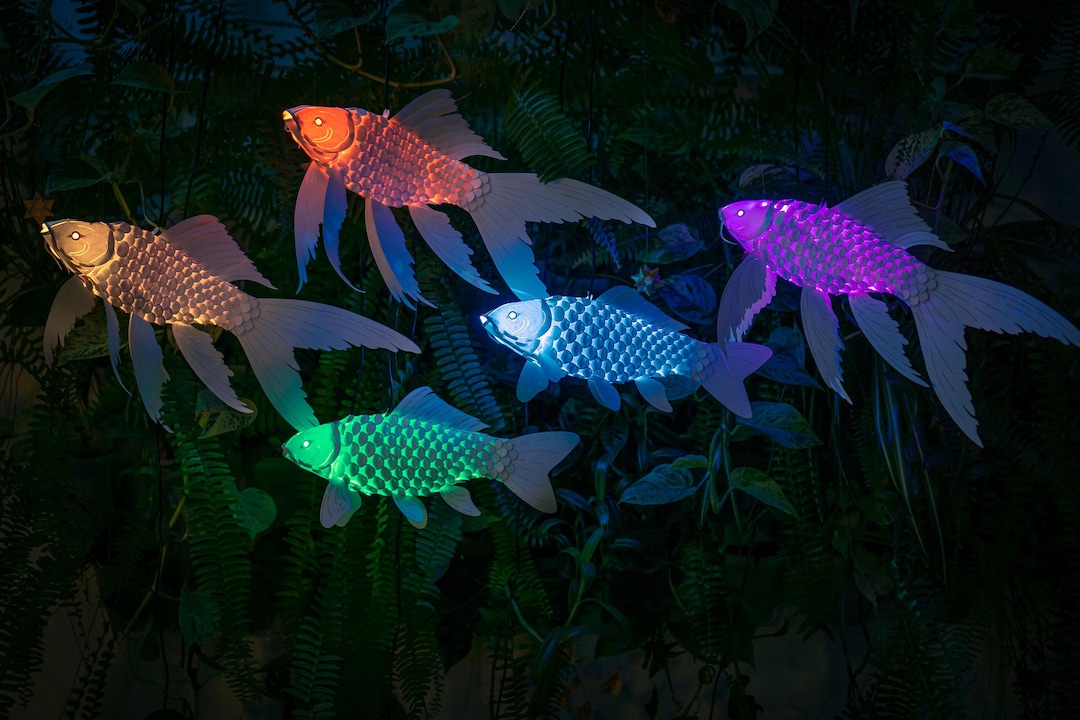 5-pack Paper Koi Lantern: DIY Fish Lamp Kit - Etsy