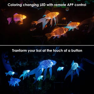 15-PACK DIY Paper Koi Lantern - Light up Your Home With 3D Puzzle Fish ...